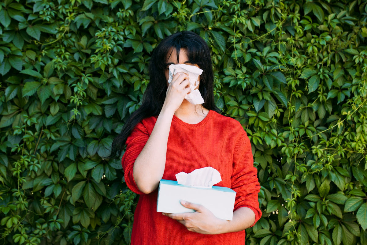 A Guide Towards Optimal Digestive Health and Well-being — RSC Health