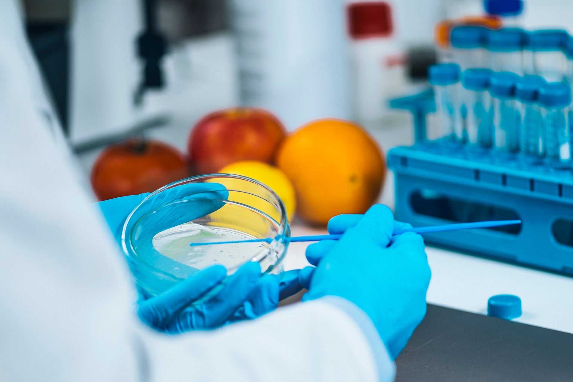 Understanding and Managing Food Sensitivities — RSC Health