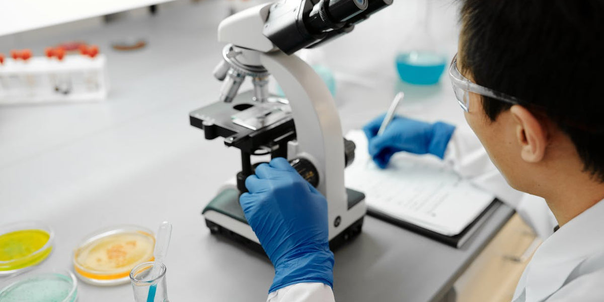 How to Interpret Your Lab Test Results Easily — RSC Health